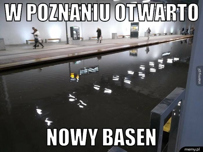 Cała Polska śmieje się z Kaponiery [GALERIA] - Radio Poznań